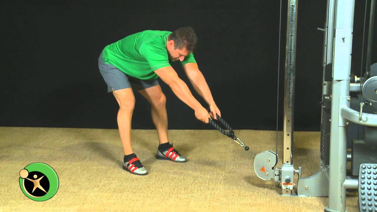 Back / Row - Bentover - Low Pulley - Ropes - Par. Grip - YouTube