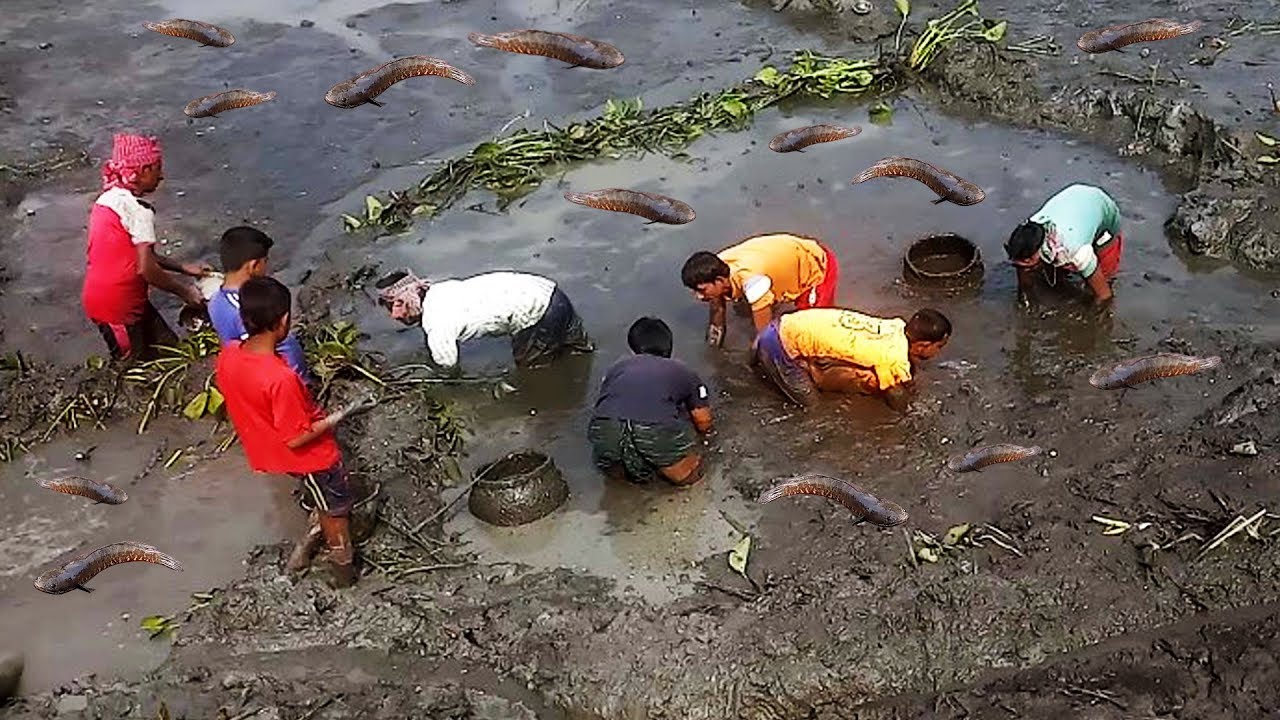 Muddy Soil,Best Fishing video,Deep,hole egg fishing,deep,sea fishing ...