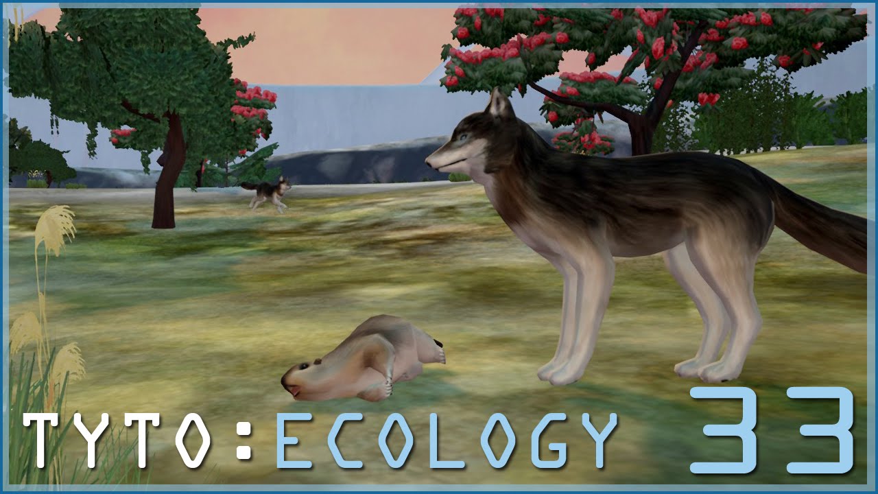 FEEDING OUR HUNGRY WOLF PACKS || TYTO: ECOLOGY - Episode #33 - YouTube