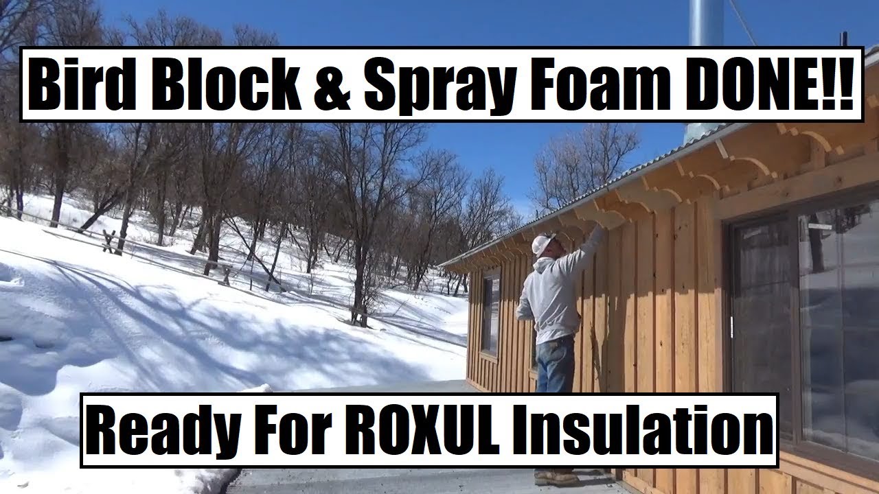#313 - Installed Bird Block, Caulking And Spray Foam DONE, Ready For ...