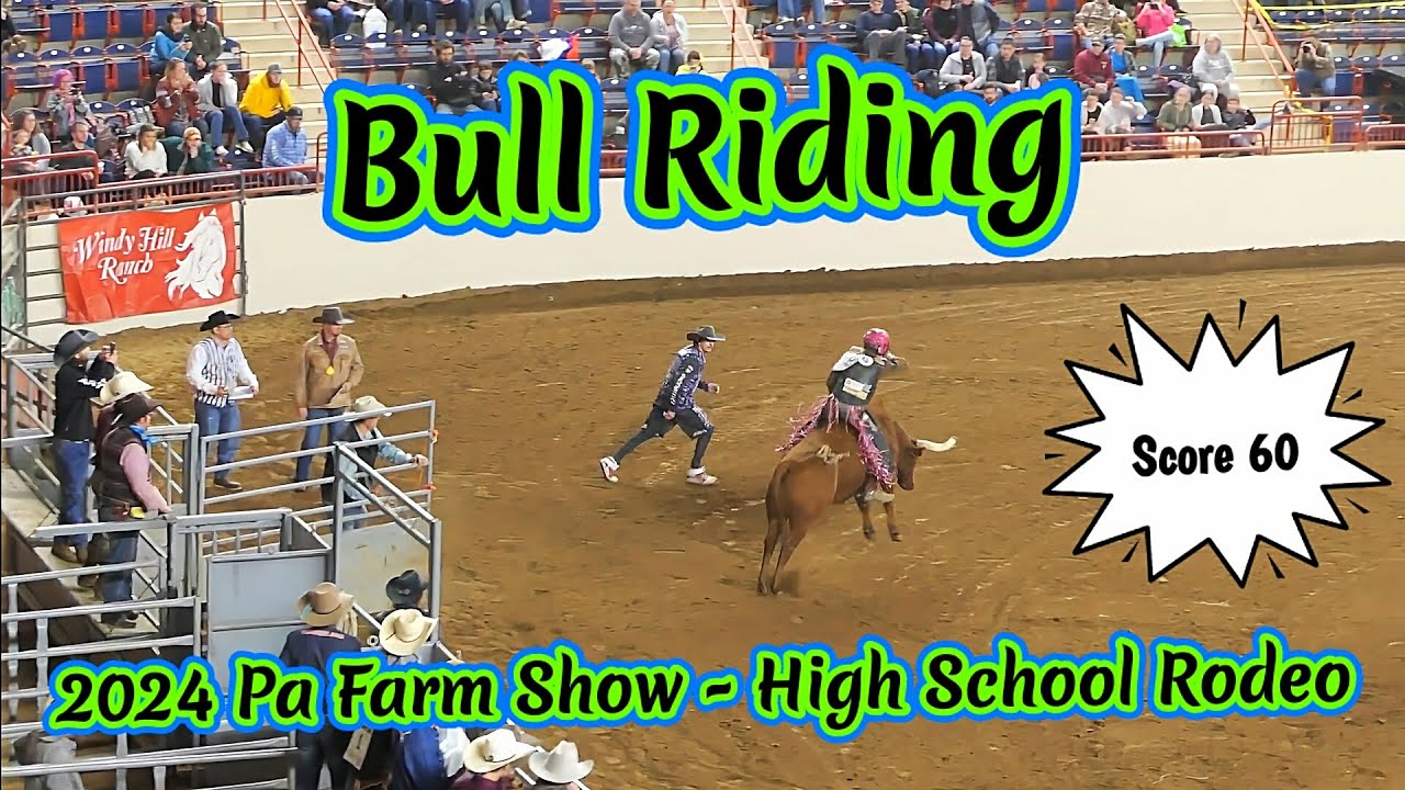Bull Riding 🐃 2024 Pa Farm Show High School Rodeo. #bullriding # ...