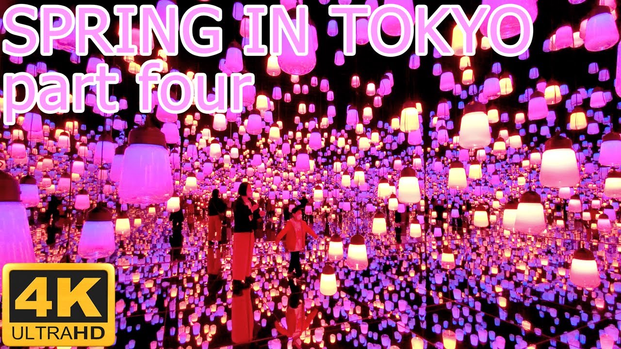 Tokyo teamlab Borderless Digital Art Museum and more Japan 4K #tokyo # ...