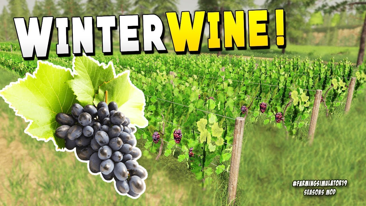 Vineyard Winter Wine in the New Seasons Mod - Farming Simulator 19 ...