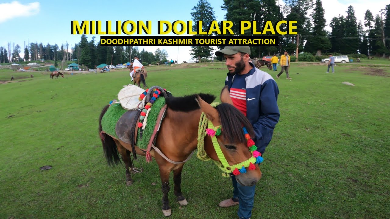 Kashmir Trip ! Valley of Milk Doodhpathri Budgam | Beautiful Kashmir ...