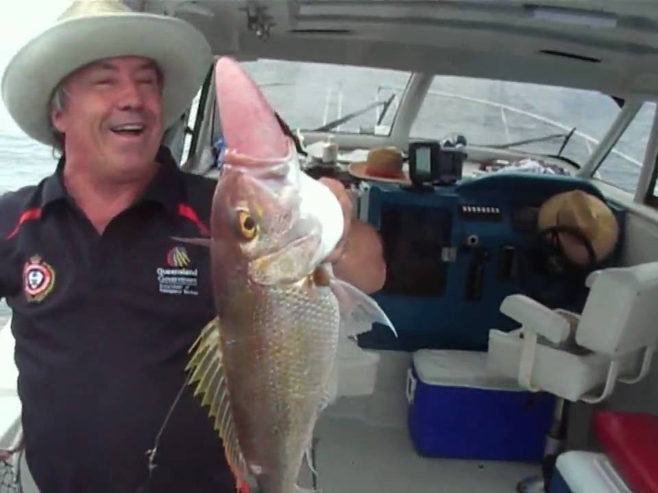 Fishing The Hards - Pearl Pearch - Gold Band Snapper and SNAPPER - YouTube