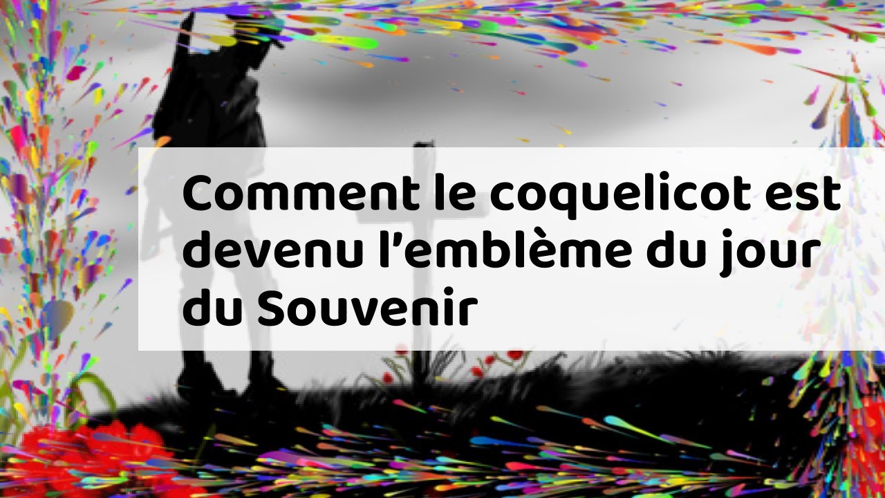 Comment le coquelicot est devenu l’emblème du jour du Souvenir - YouTube