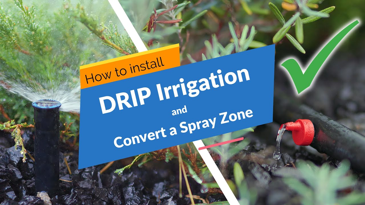 Drip Irrigation: Installation and Spray Zone Conversion (Micro Irrigation) - YouTube