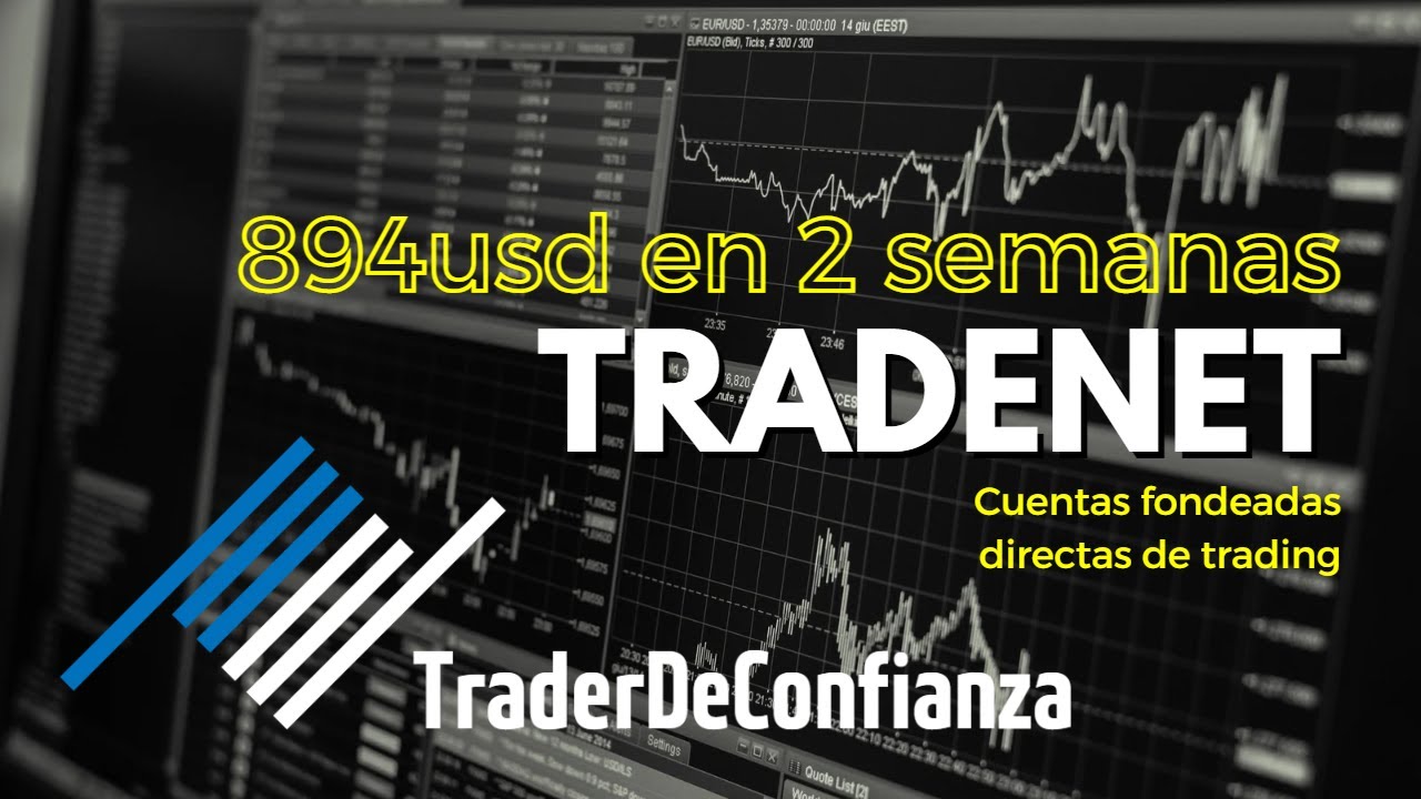 ¿es posible vivir del trading? 894usd en 2 semanas con cuenta TRADENET ...