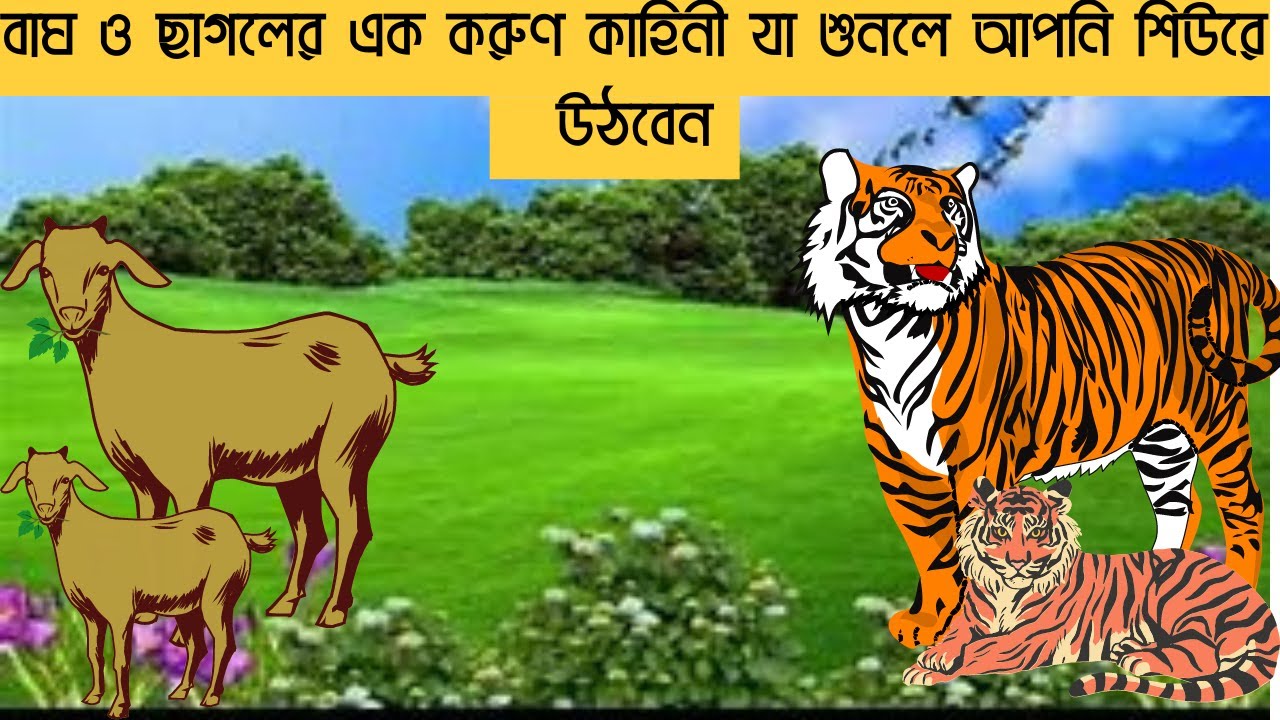 বাঘ ও ছাগলের এক করুণ কাহিনী যা শুনলে আপনি শিউরে উঠবেন .The story of the ...