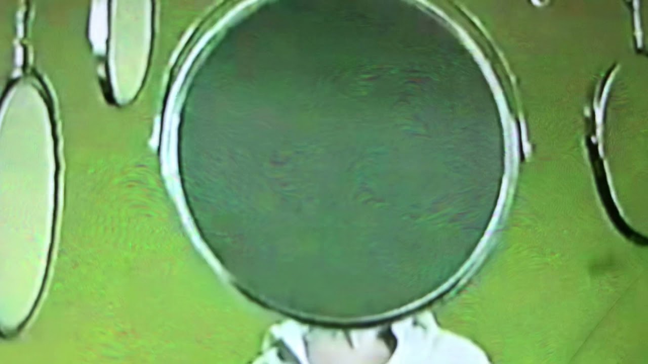 Opal the mirror man scene (adult swim) jack stauber - YouTube