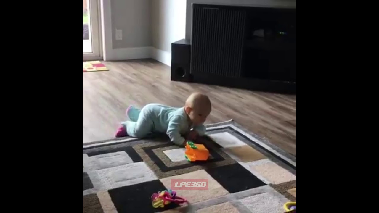 Baby chasing a cat - YouTube