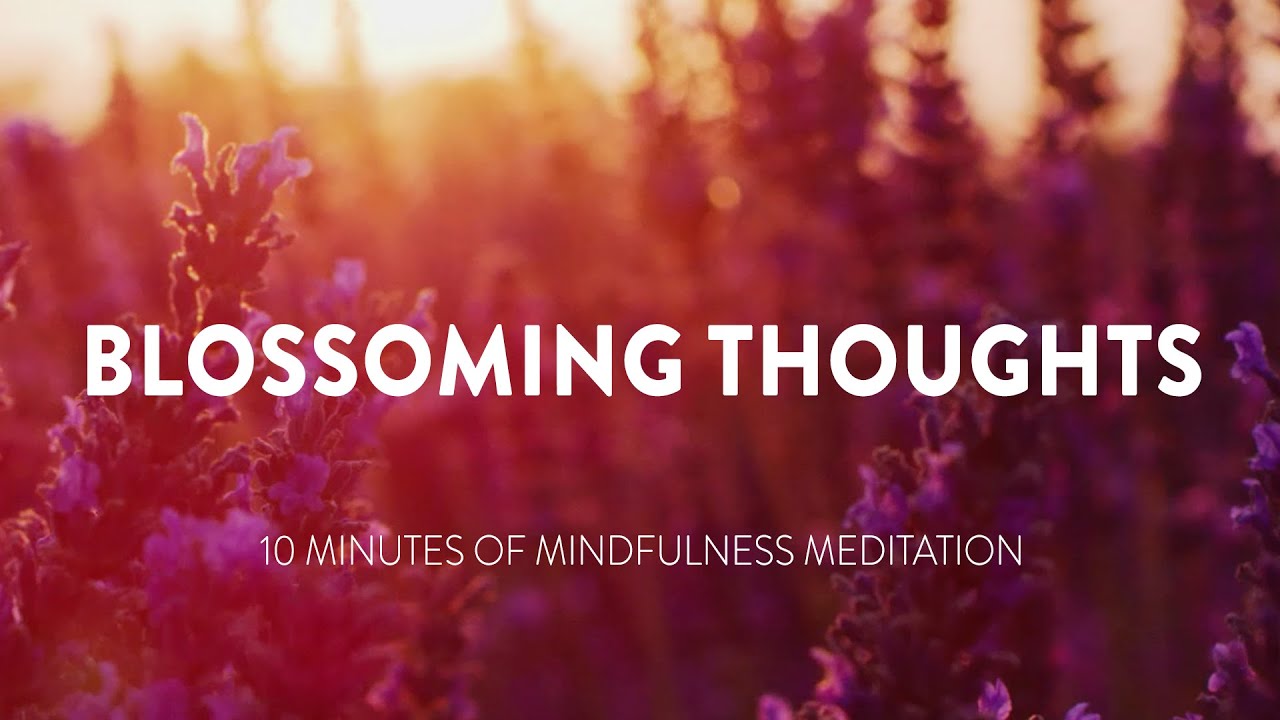 10 Minute Meditation / Blossoming Thought - YouTube