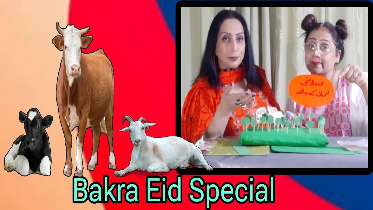 Bakra Eid Special in Urdu Hindi | Bakra Eid |Art and Craft | Dekhtay ...