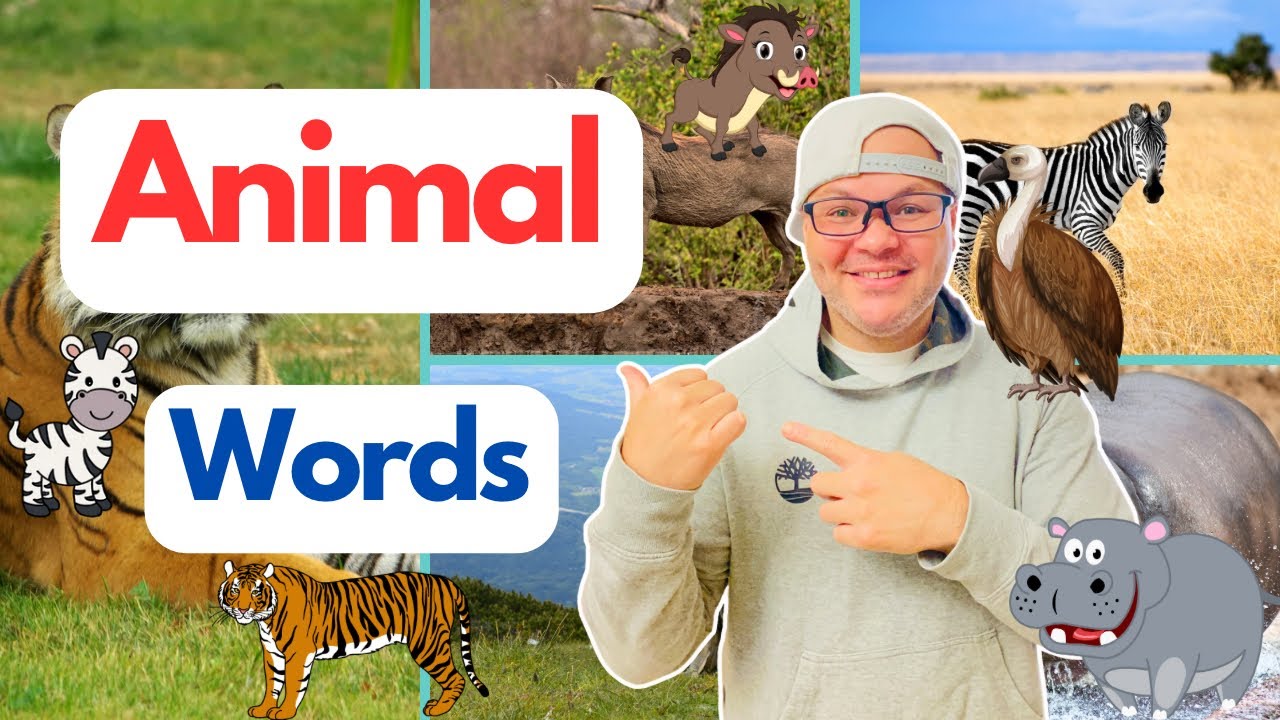 Animal Words | Learning English | ShanesMTH - YouTube
