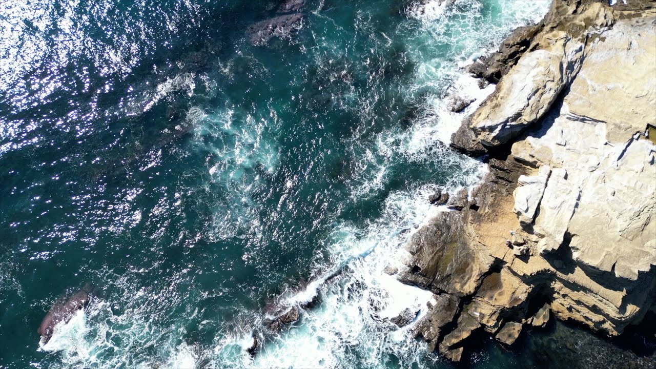 太平洋の潮が直撃するこの磯でサラシの中に潜んでる荒磯の王者に迫る。 - YouTube