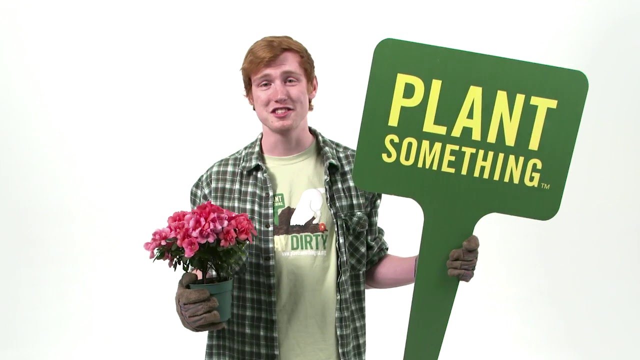 MELNA PLANT SOMETHING (SEAN ) - YouTube