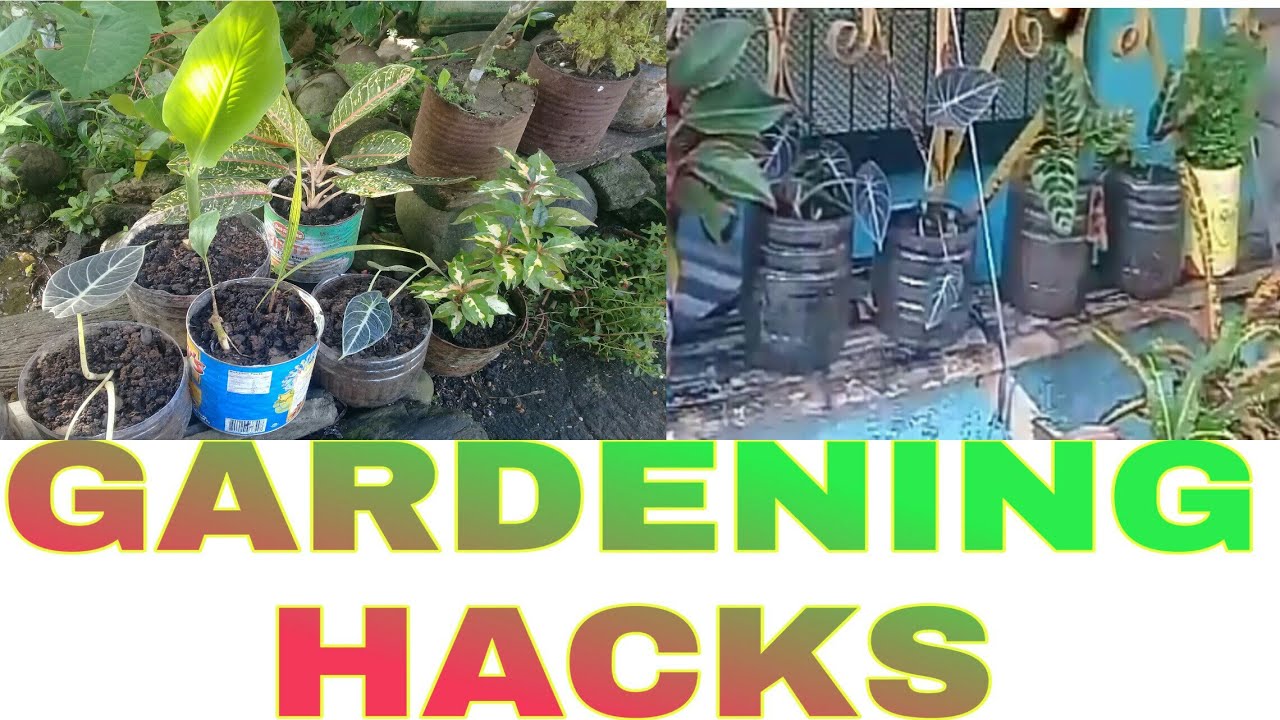 PLANTING USING RECYCLED MATERIALS - YouTube