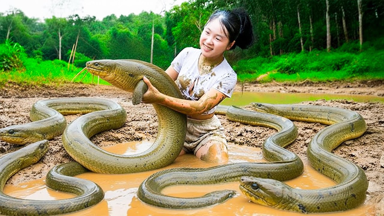 365 days of harvesting wild American Python Eels - Sold at the market ...