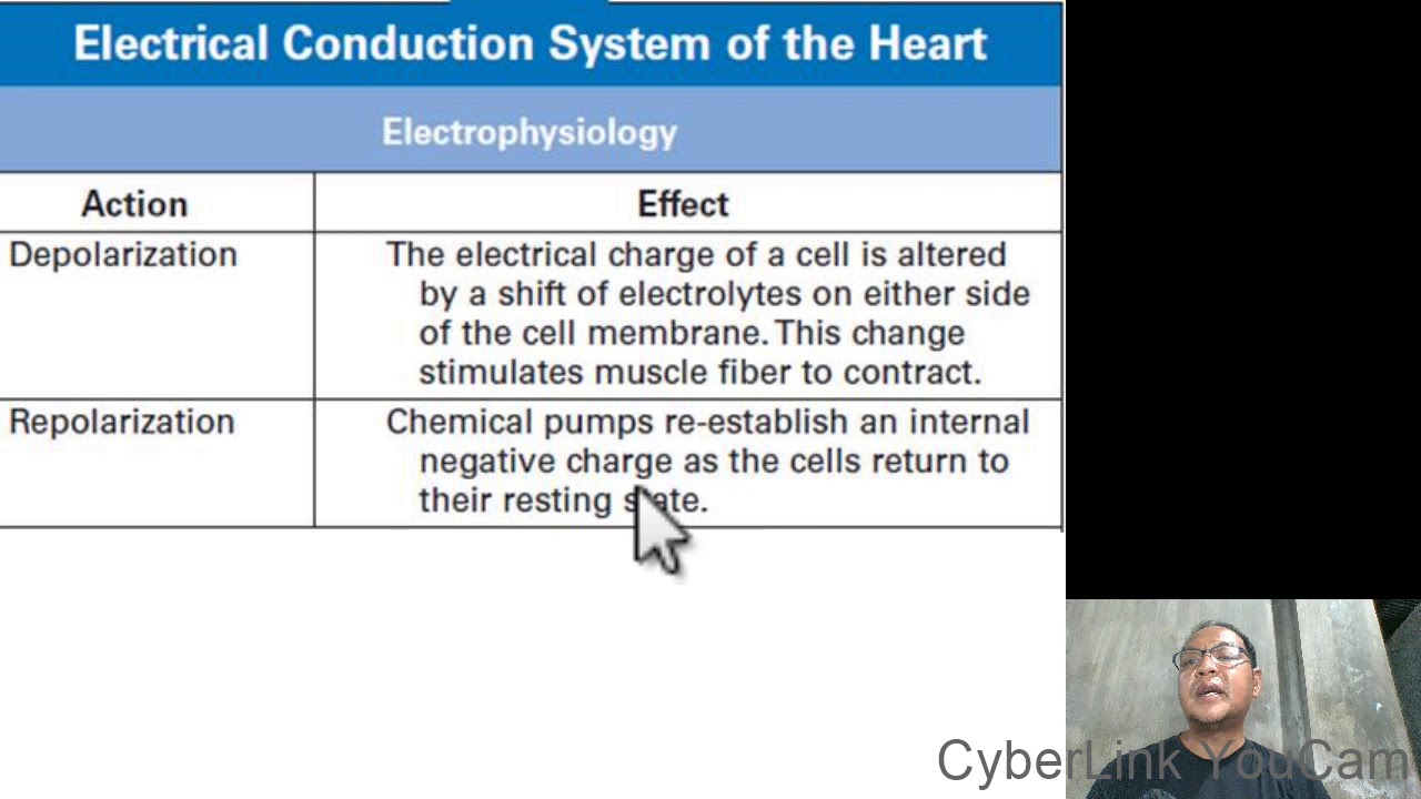 ECG LECTURE PART 2 - YouTube