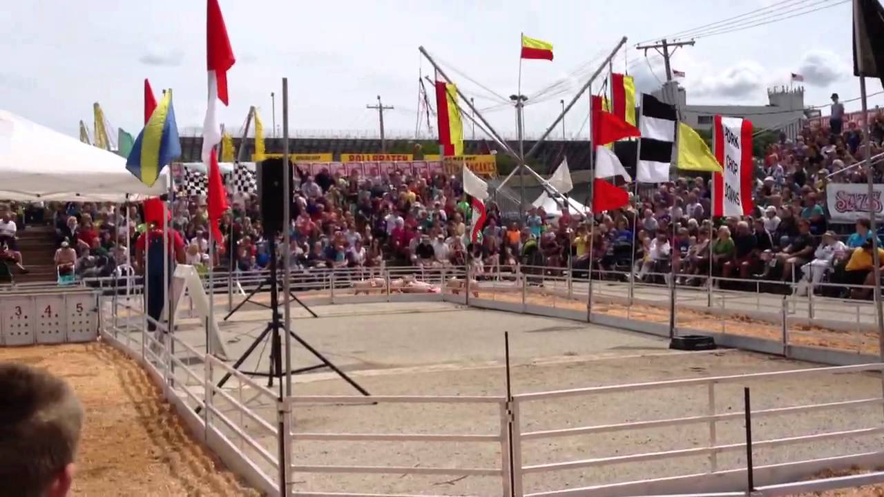 WI State Fair Pig Race - YouTube