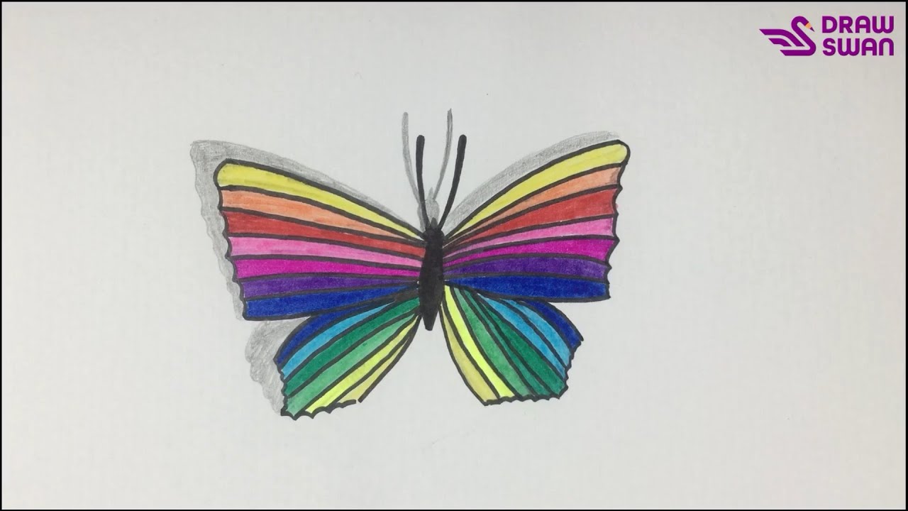 How to draw a rainbow butterfly - YouTube