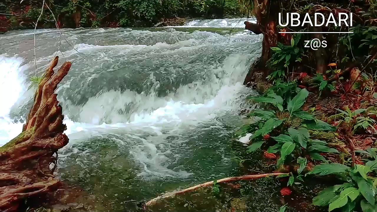 Fakfak Ubadari - YouTube