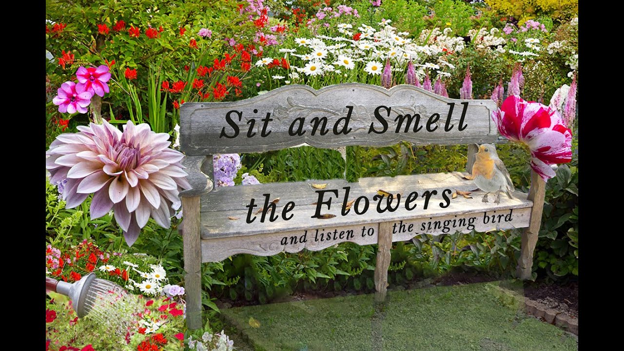 Smell the Flowers - YouTube