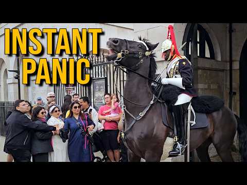 King’s Guard Charges His Horse at Rude Tourists