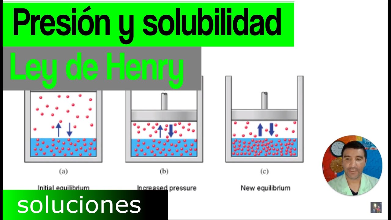 Diagrama De Flujo De Solubilidad