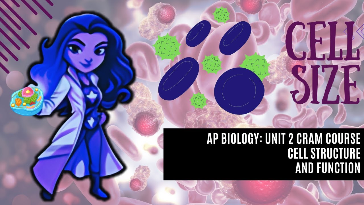 AP Biology College Prep CRASH CRAM COURSE Unit 2 Cell Structure and ...