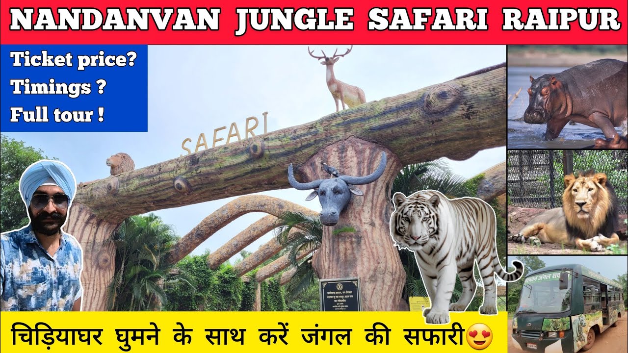 Raipur jungle safari - nandanvan raipur jungle safari | Nandan van ...