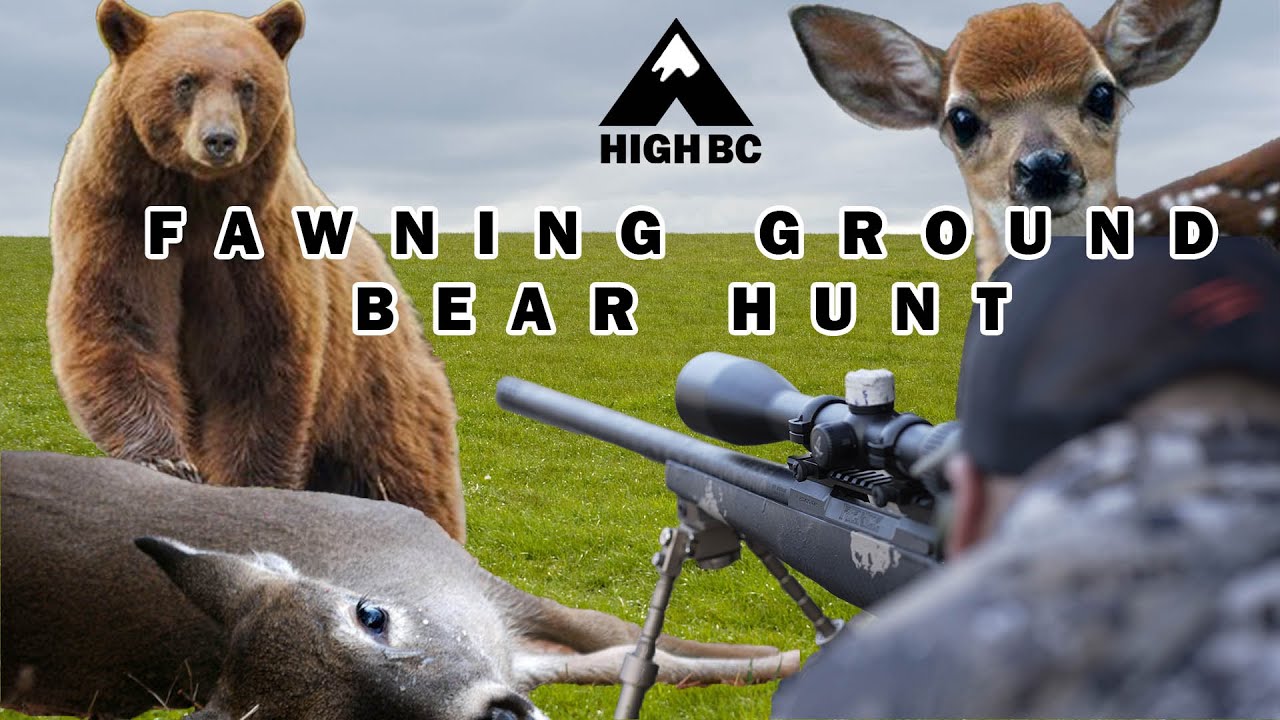 BEAR HUNT | CHOCOLATE BOAR DOWN - YouTube