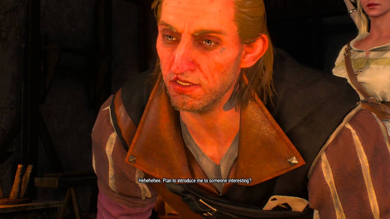 The Witcher 3 - Ciri's Story: Visiting Junior: Ciri Breaks In (Dudu ...
