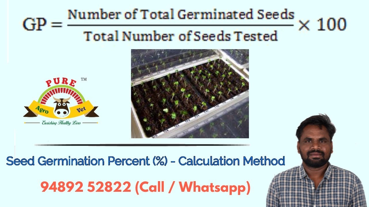 Seed Germination Percent (%) || Calculation Method by using Formula ...