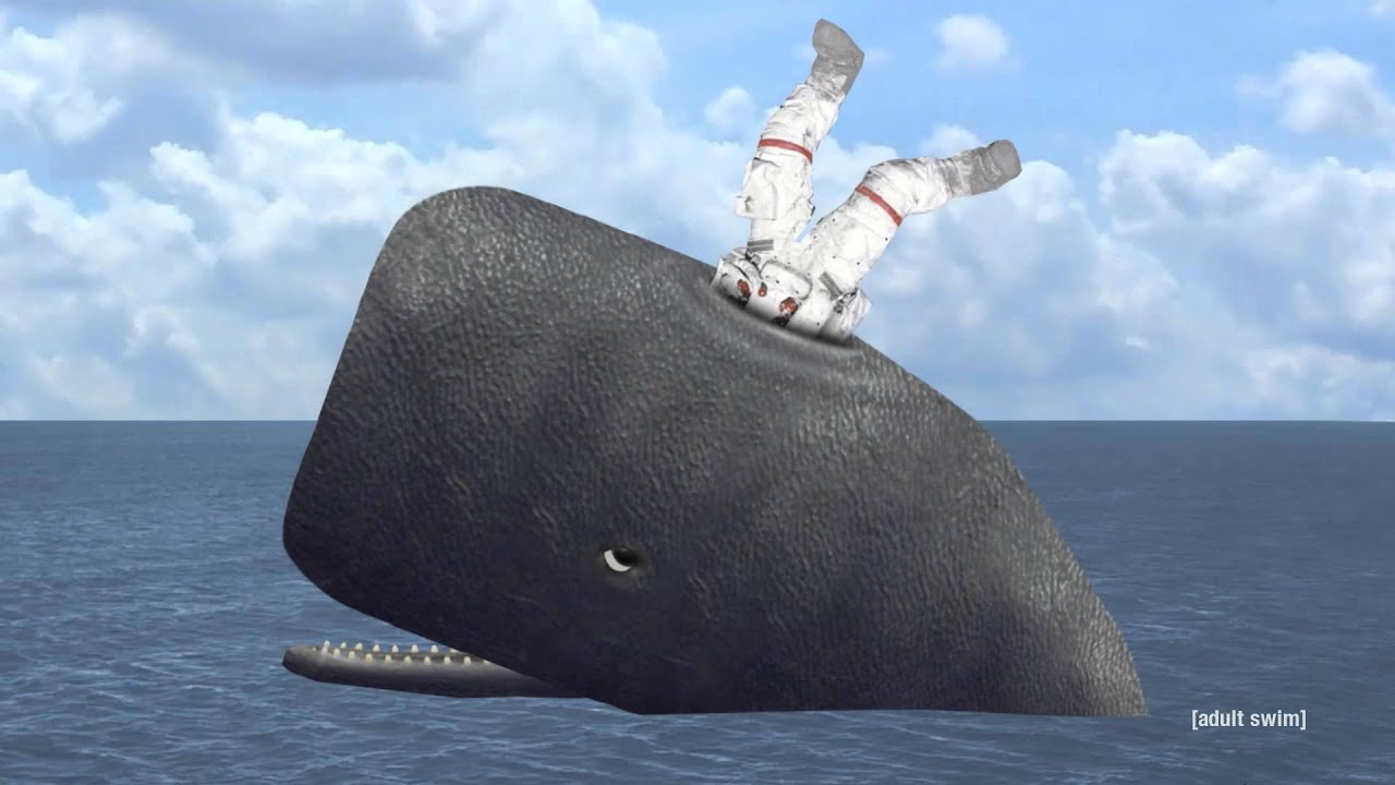 Space & Kitty | Animated Short - YouTube