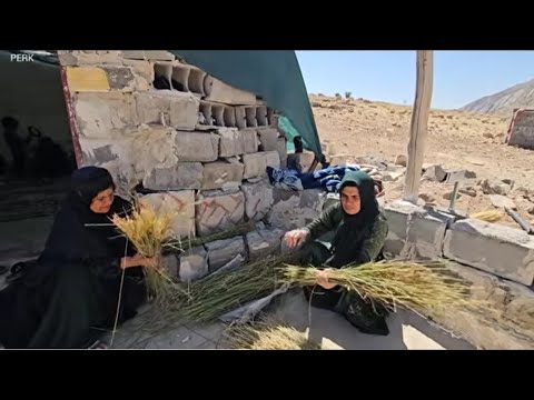 Fariiba and Kowsar's Mountain Journey to Gather Plants for Traditional Handmade Trays
