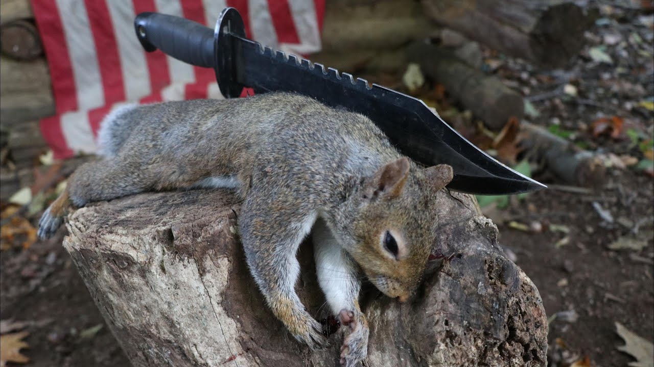 How to Skin a Squirrel with a BOWIE KNIFE! {Graphic} - YouTube