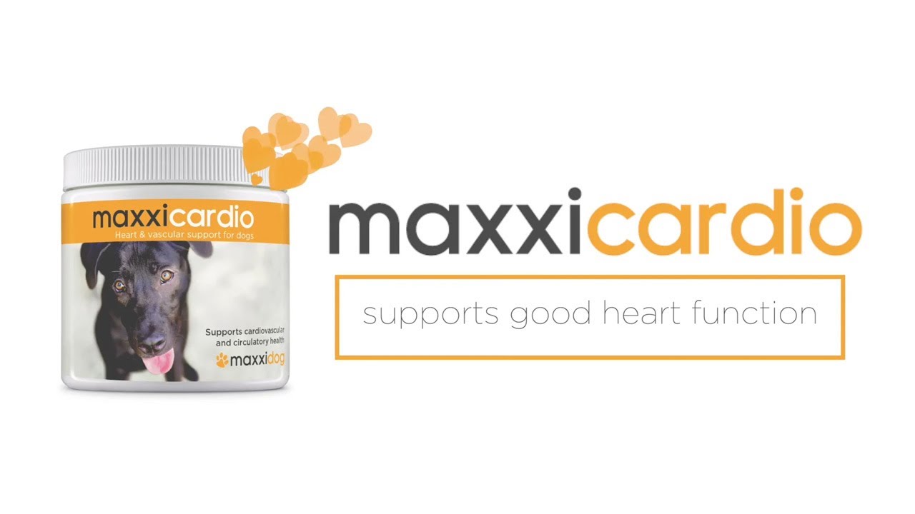 maxxicardio cardio and vascular supplement for dogs - YouTube