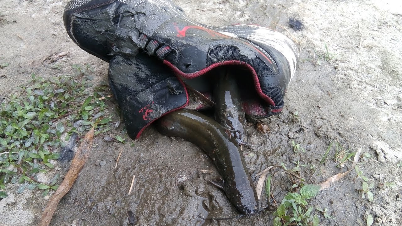 Fish Hunting , catching catfish from boot,,Imagining fishing idea - YouTube