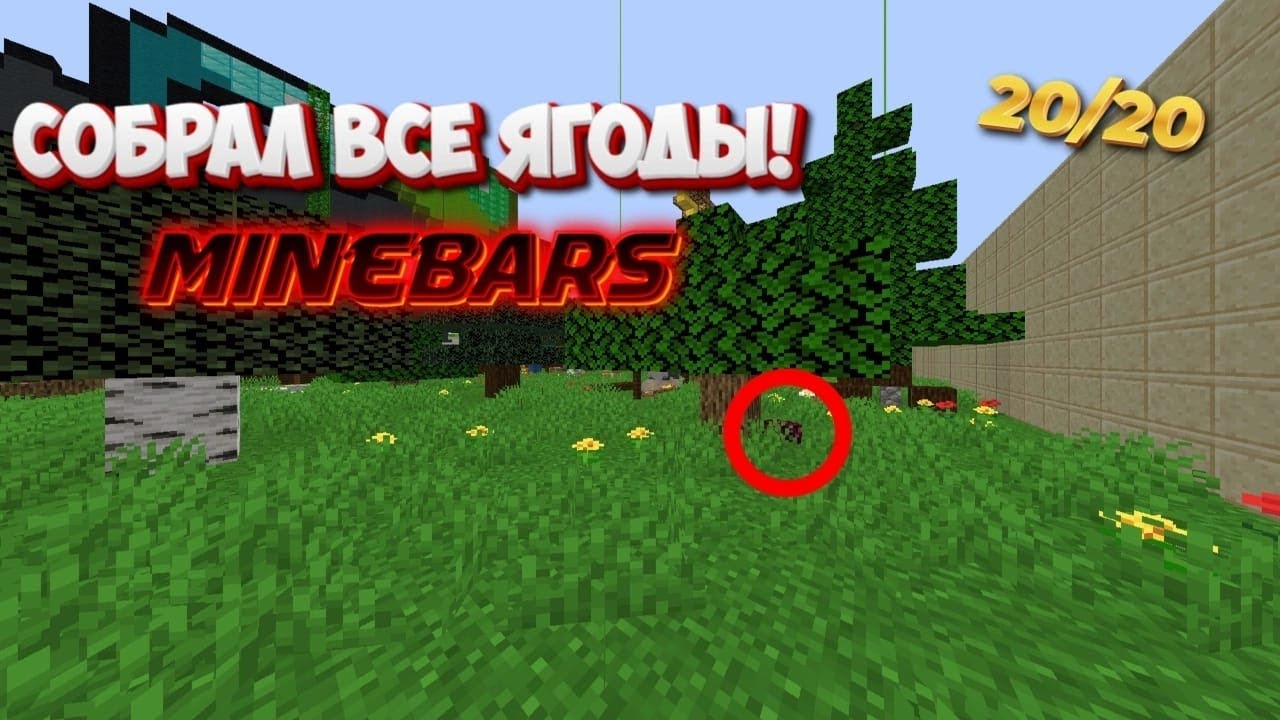 Собрал все ягоды на MineBars | ft. Forche - YouTube