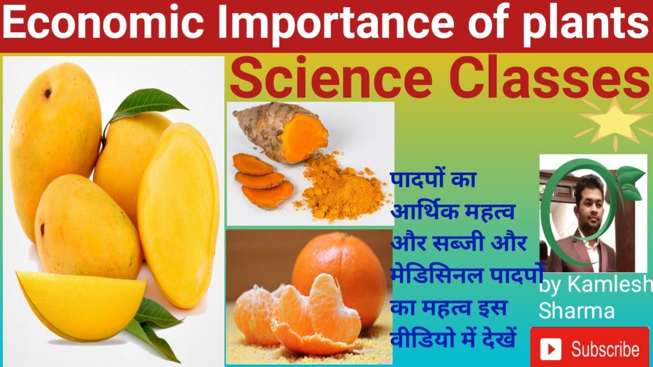 Economic Importance of Plants, vegetables , fruits , medicinal plants ...