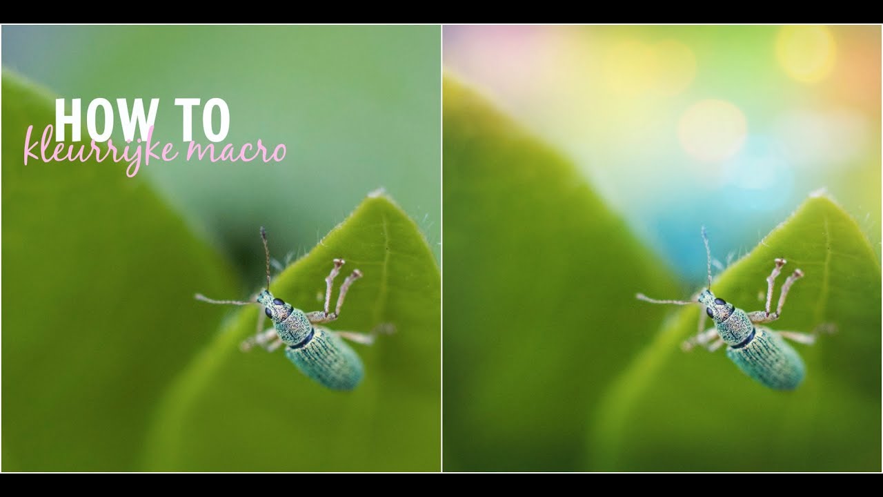 Colourful Macro's in Photoshop - YouTube