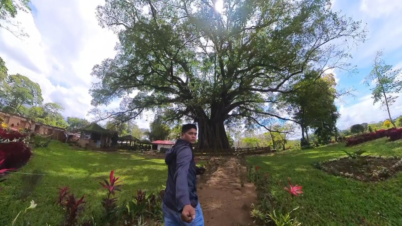 Exploring Century Old Balete Tree In Canlaon City by OFFTOROAD VLOG ...