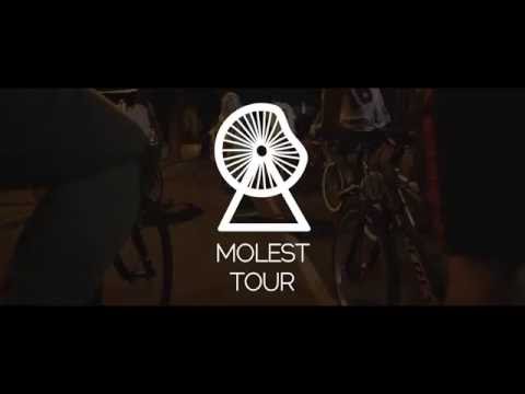 Molest Tour 2016