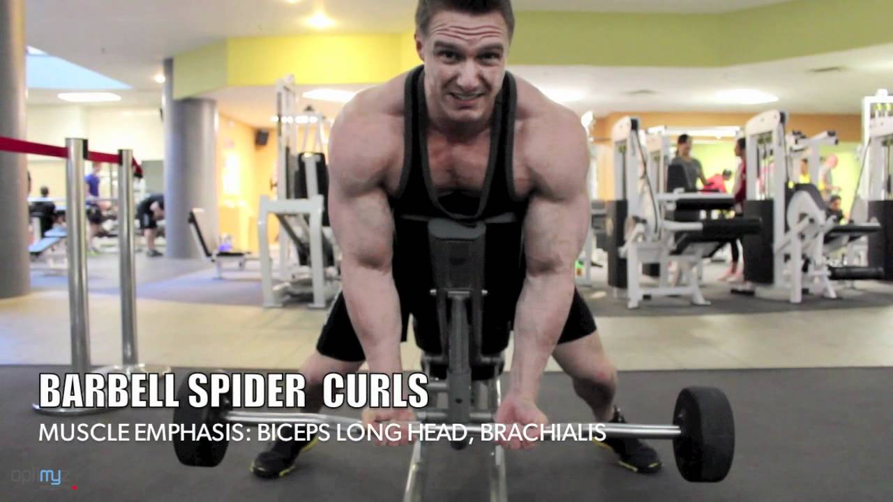 Get ripped: The 3D arms workout - YouTube