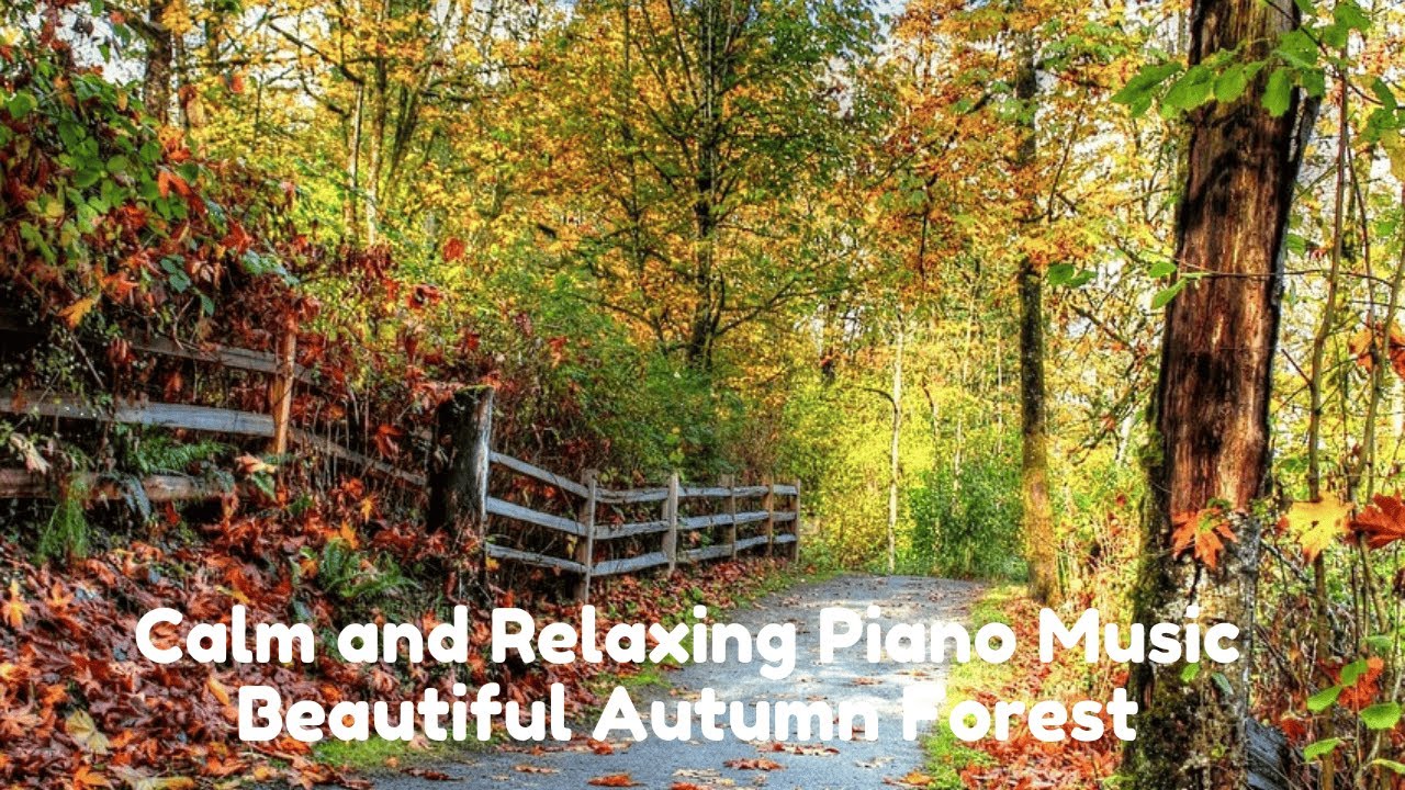 Calm and Relaxing Piano Music - Beautiful Autumn Forest - YouTube