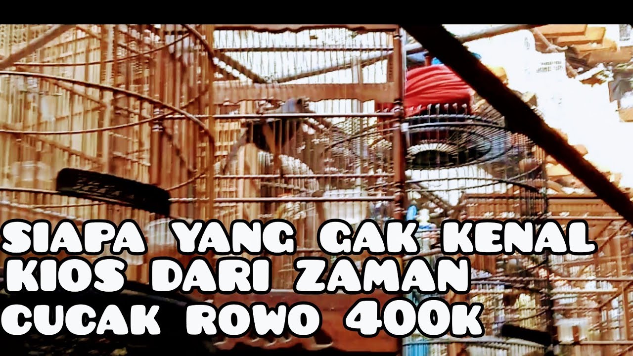siapa yang gak kenal kios ini, harga masih biasa2 saja tak terpengaruh ...