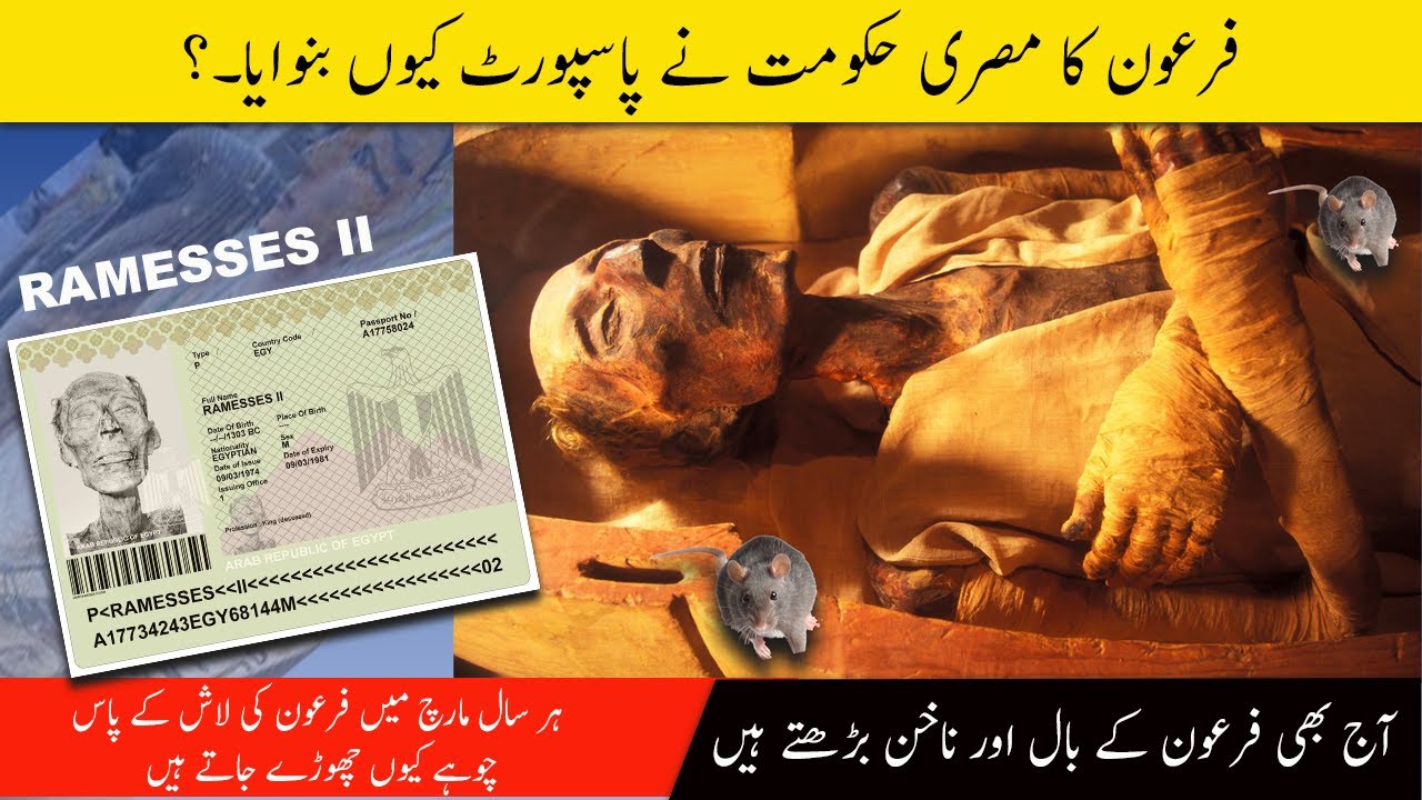 Why was Pharaoh issued a passport by the Egyptian government ...
