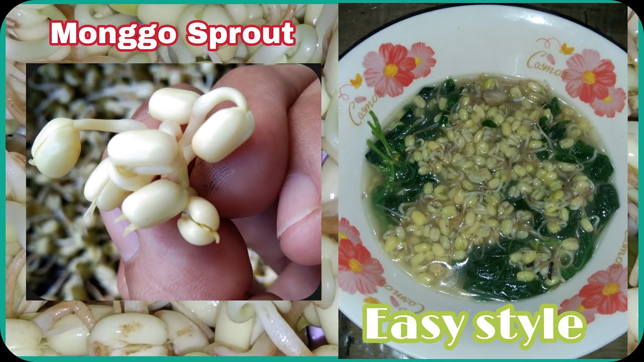Nutritious yet simple and cheap recipe || Munggo Sprout_Toggi || Debbie ...