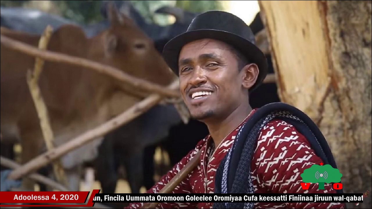 Tarkaanfii Ona Jalduu keessatti WBOn LMKII irratti fudhate - YouTube